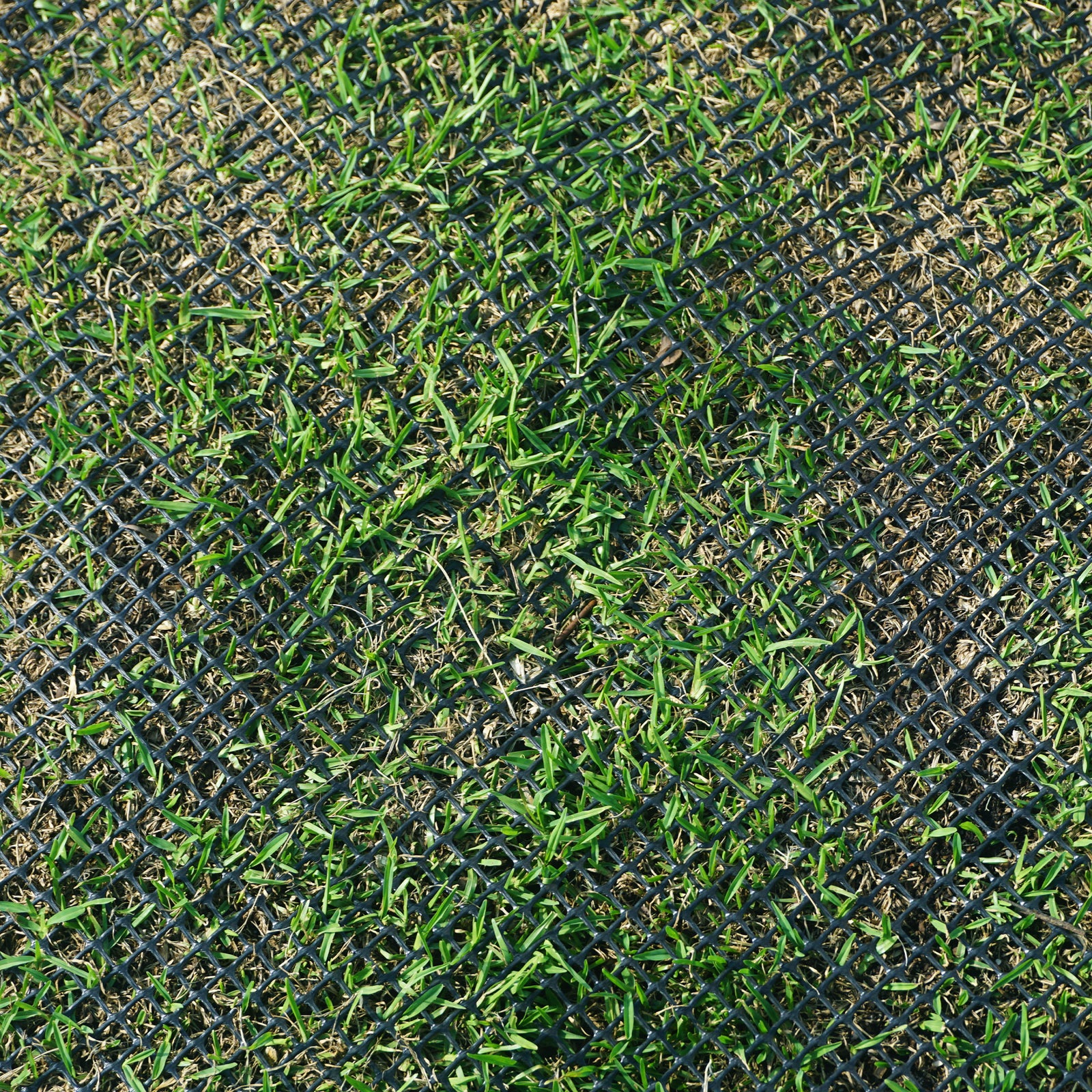 Turf Reinforcement Mesh